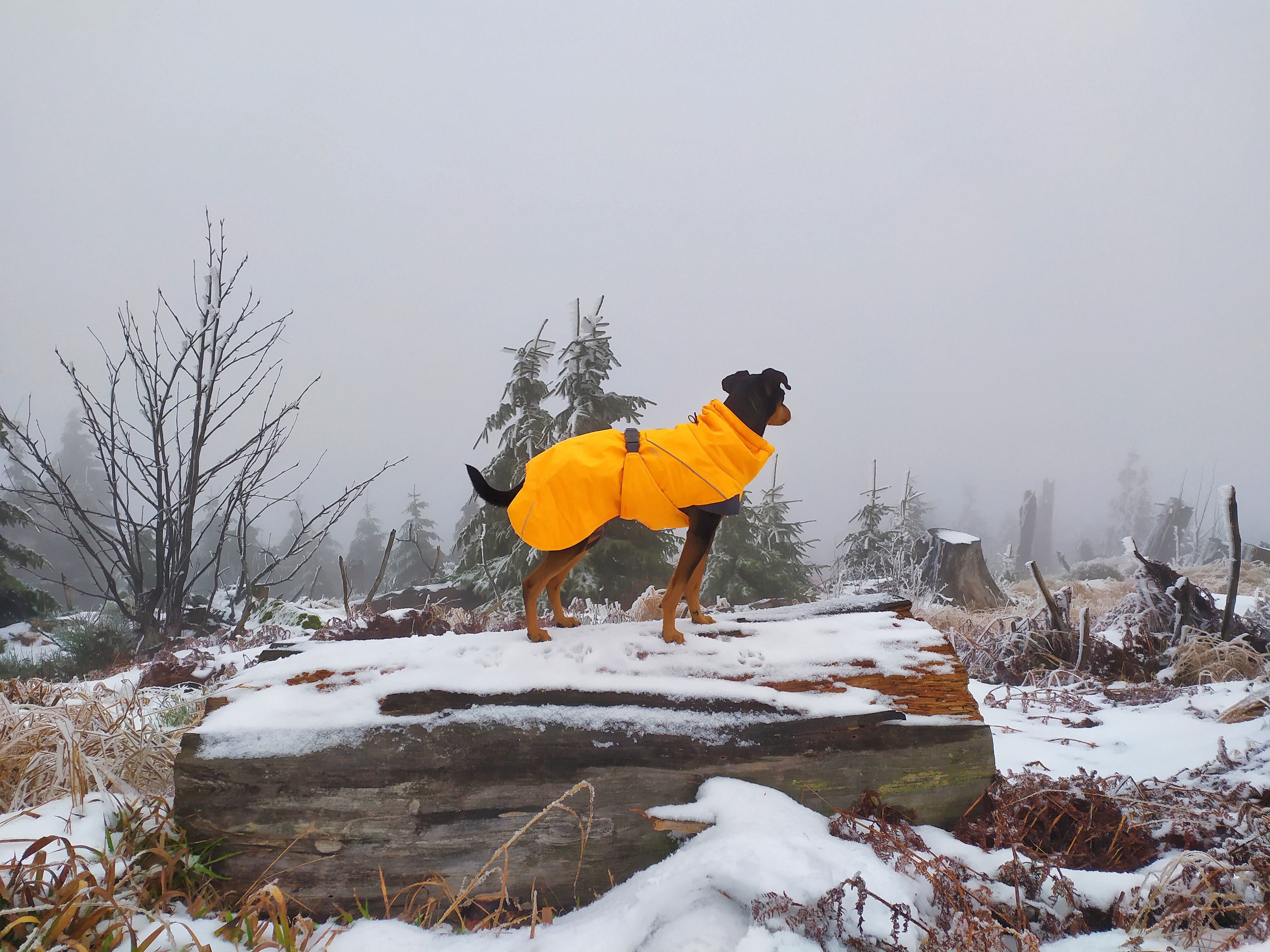 Zimní bunda EXPEDITION PARKA HURTTA - hurtta-collection.cz